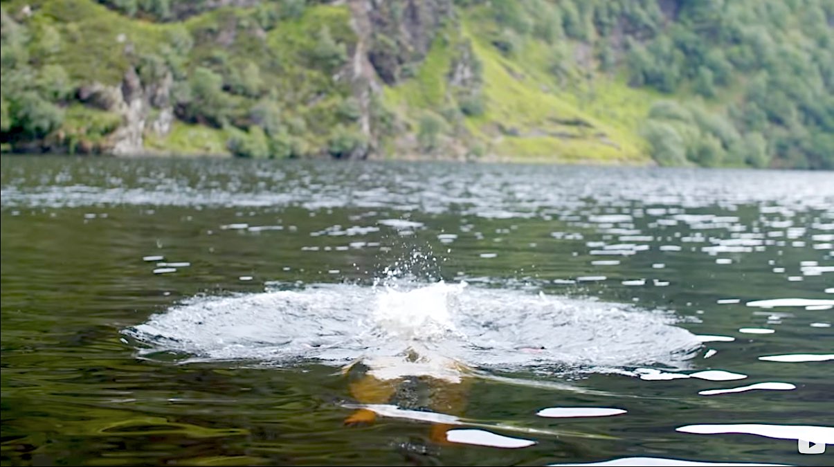 Not Breaking, Not Broken, But Unfolding – Erica Dutton