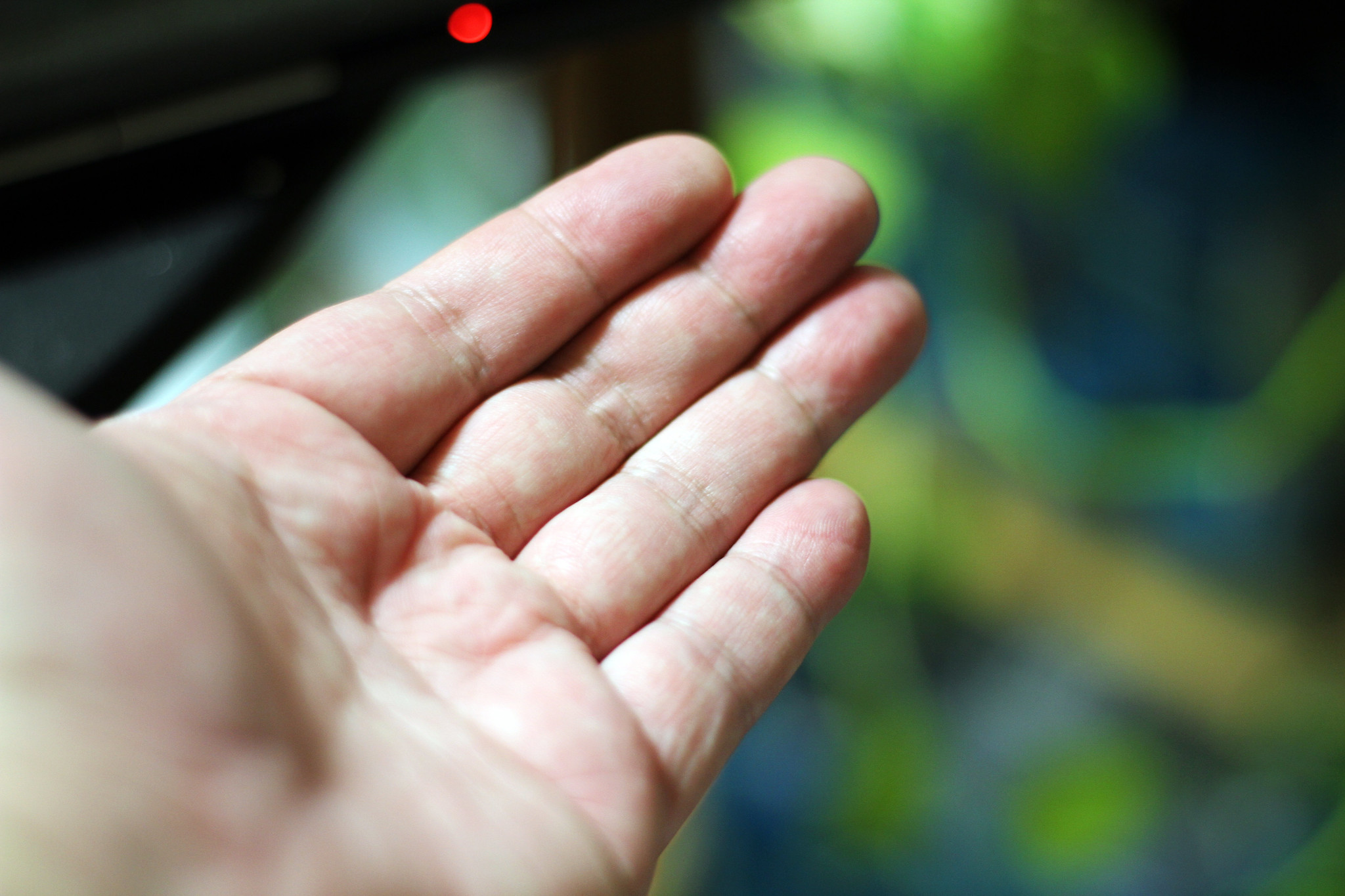 Beliefs, Perceptions, and Caring – Erica Dutton