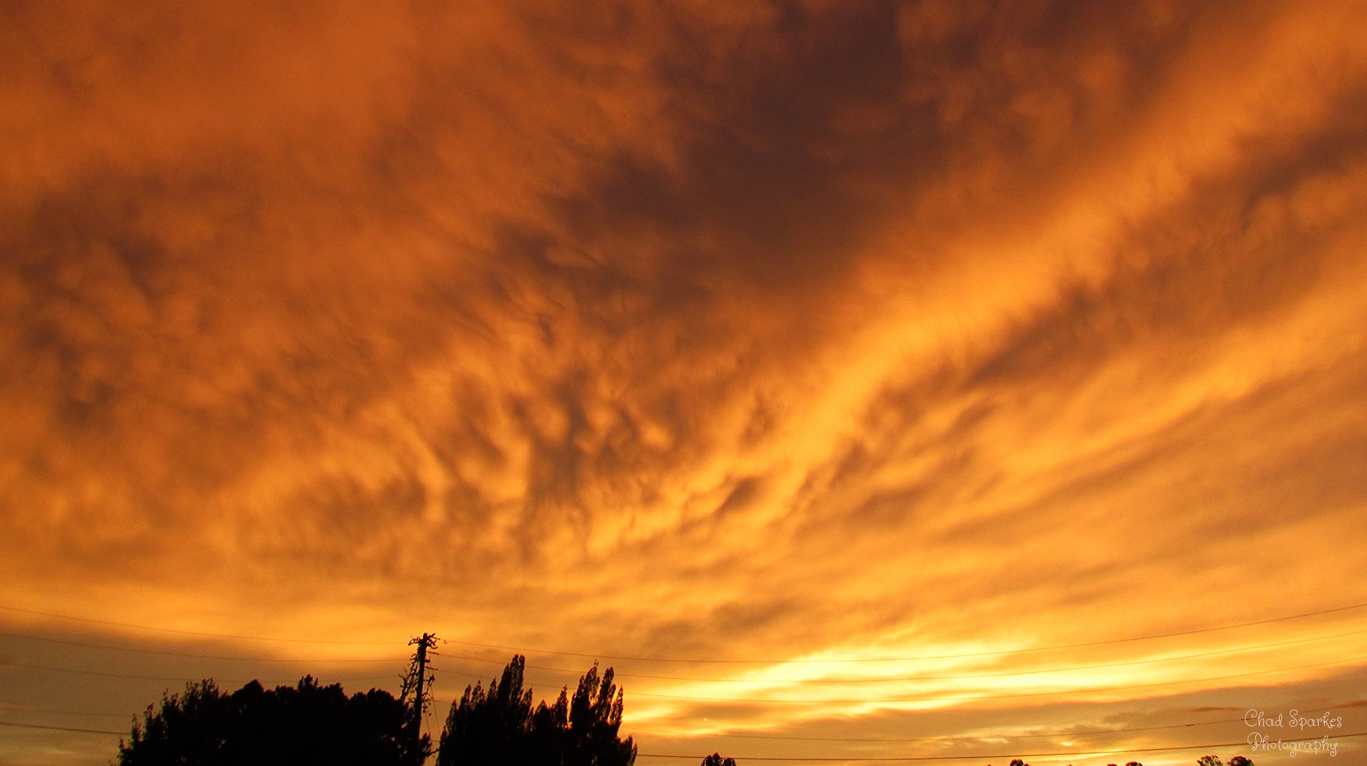 Vulnerability and Impermanence – Erica Dutton