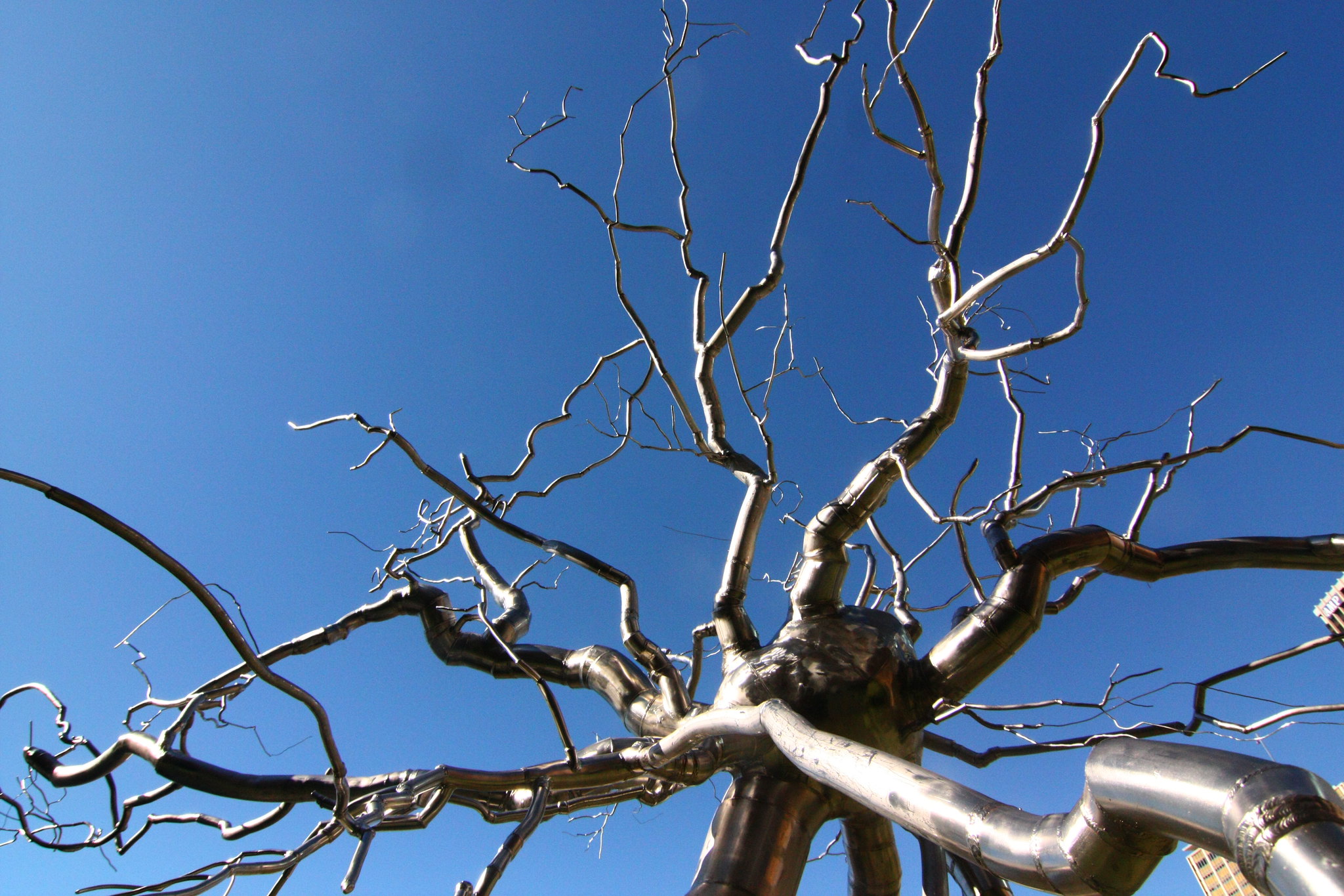 Coping with Pain in Our Practice – Erica Dutton